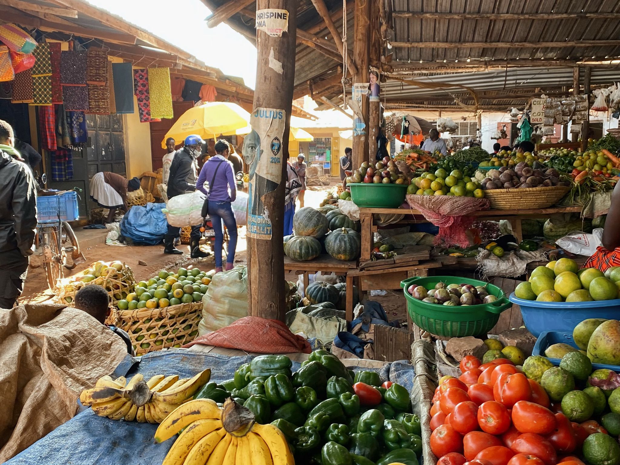La Congolaise Agricole offre des produits et services agricoles de ...